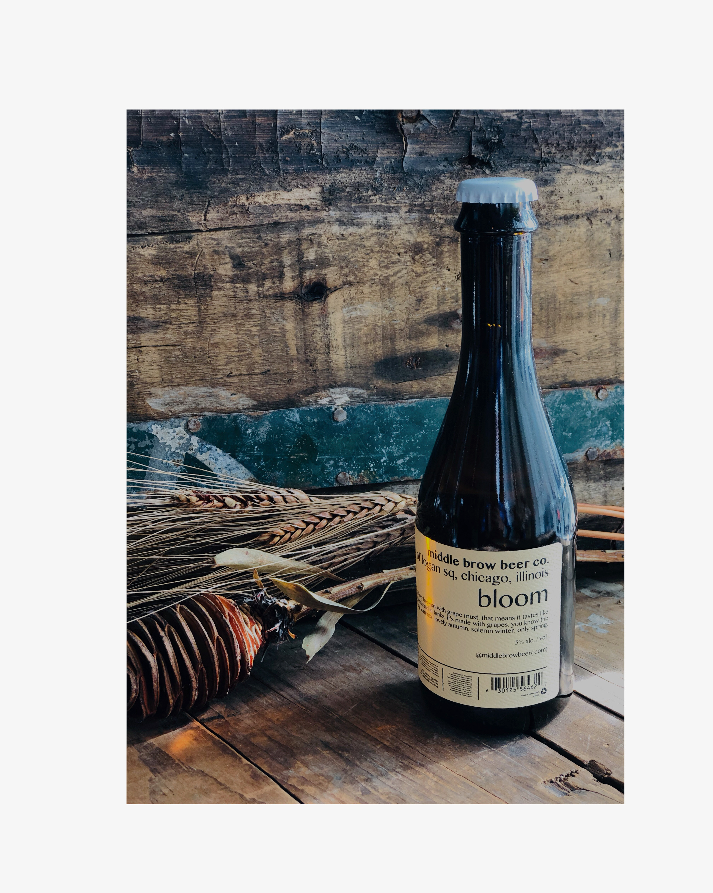 a black beer christmas – a middle brow store.