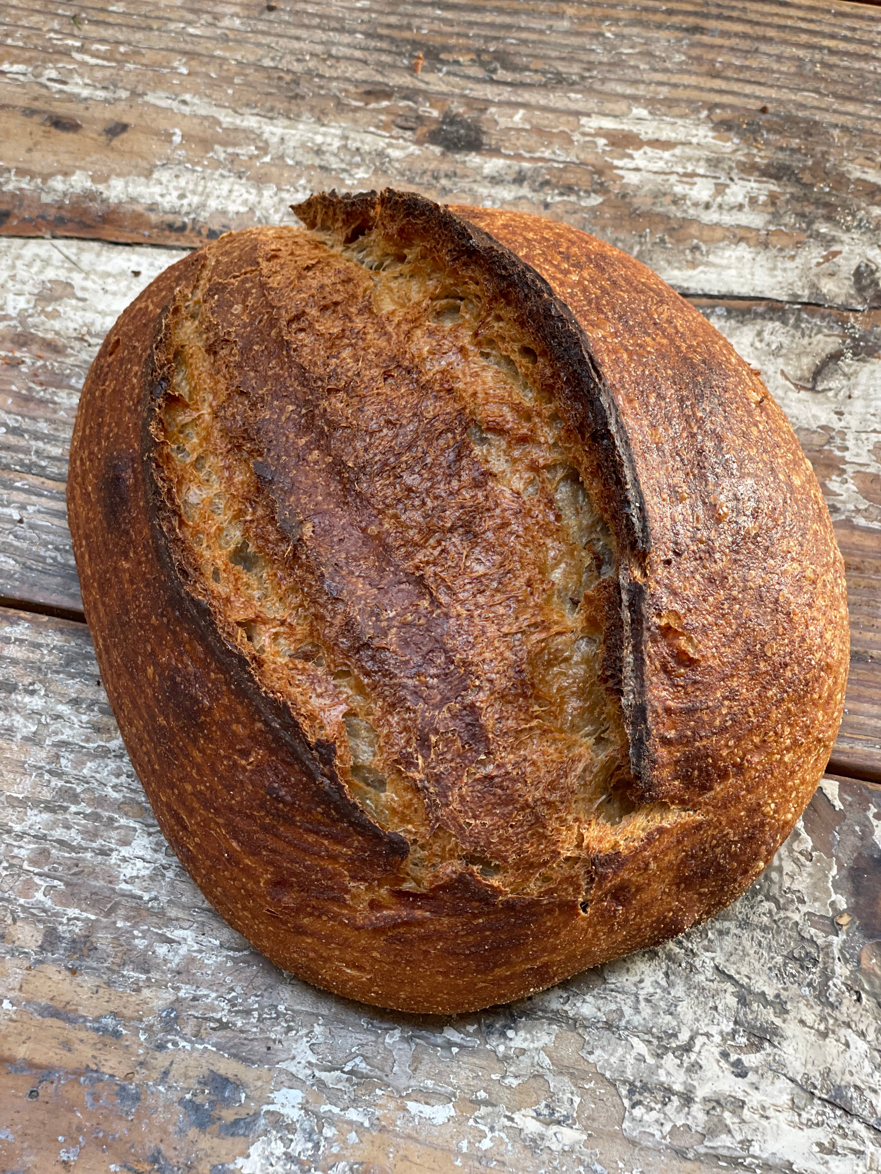 country bâtard – a middle brow store.